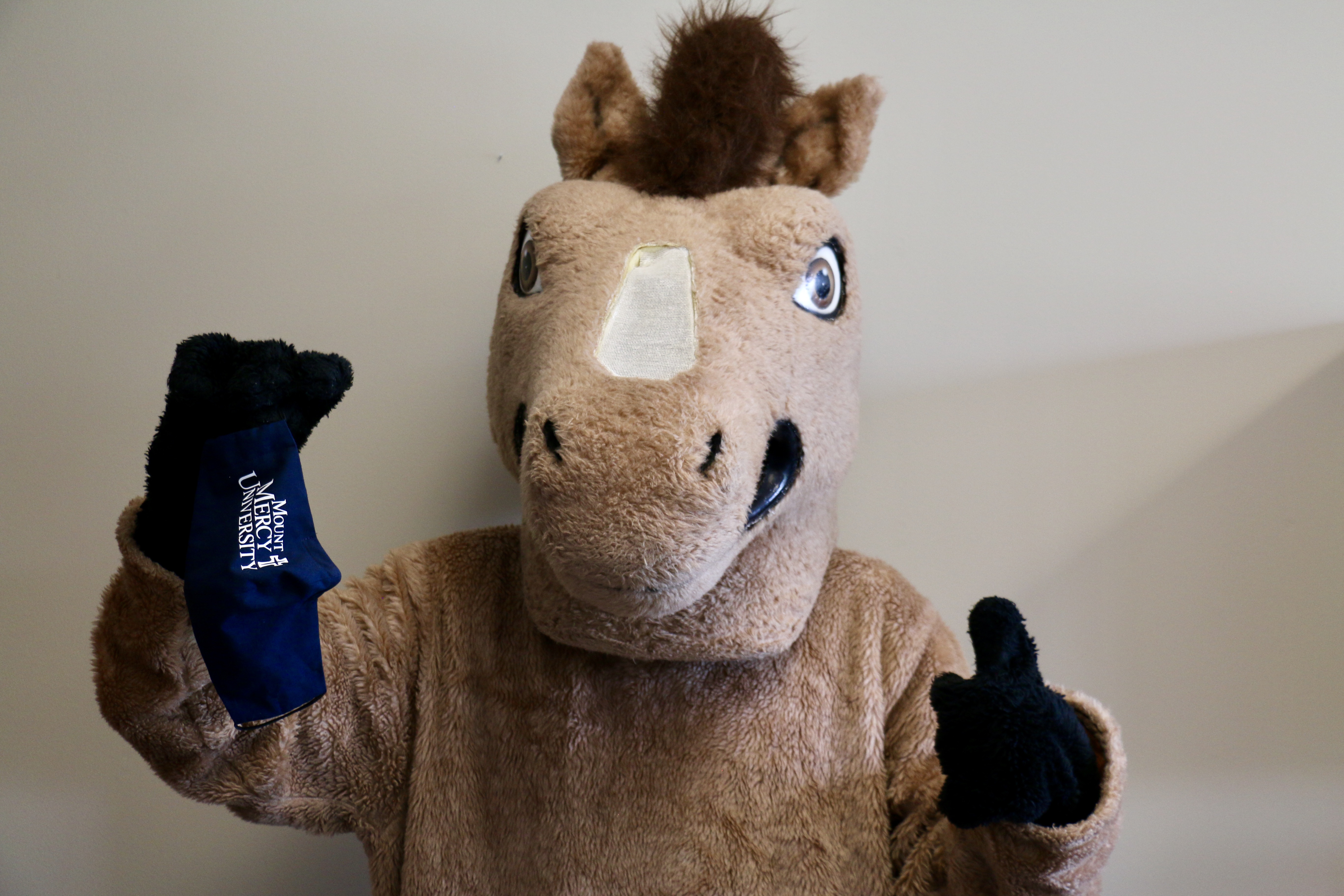 Mount Mercy: A top regional university